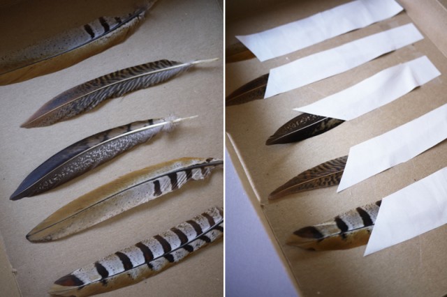 DIY Gold Dipped Feathers – Honestly WTF