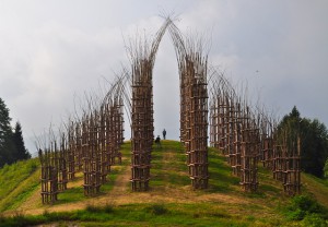 The Tree Cathedral – Honestly WTF