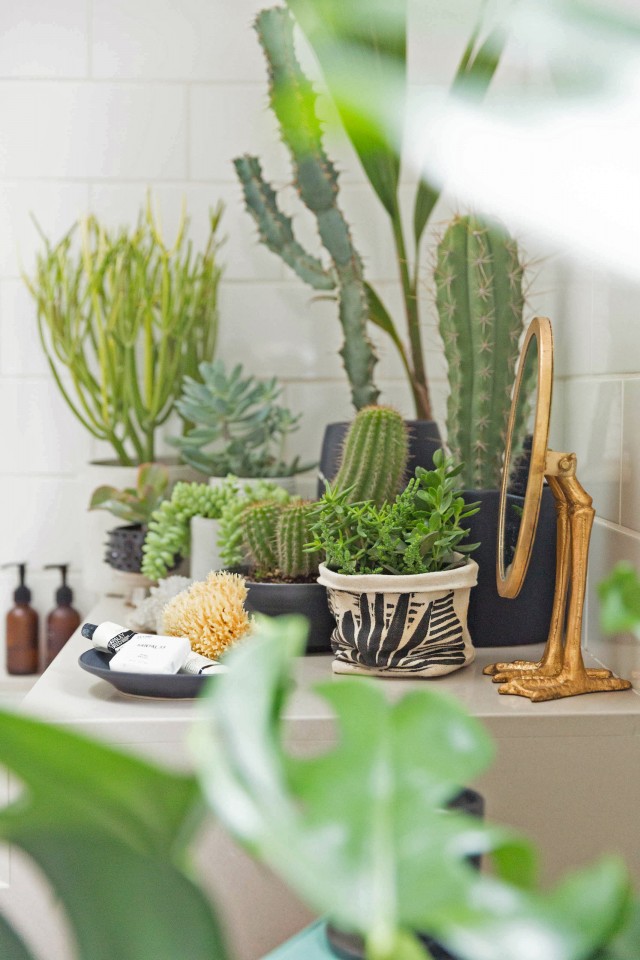 How To Create An Indoor Garden – Honestly WTF