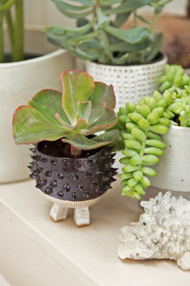 How To Create An Indoor Garden – Honestly WTF