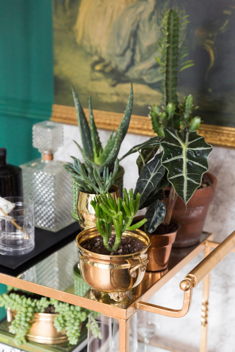 How To Create An Indoor Garden – Honestly WTF