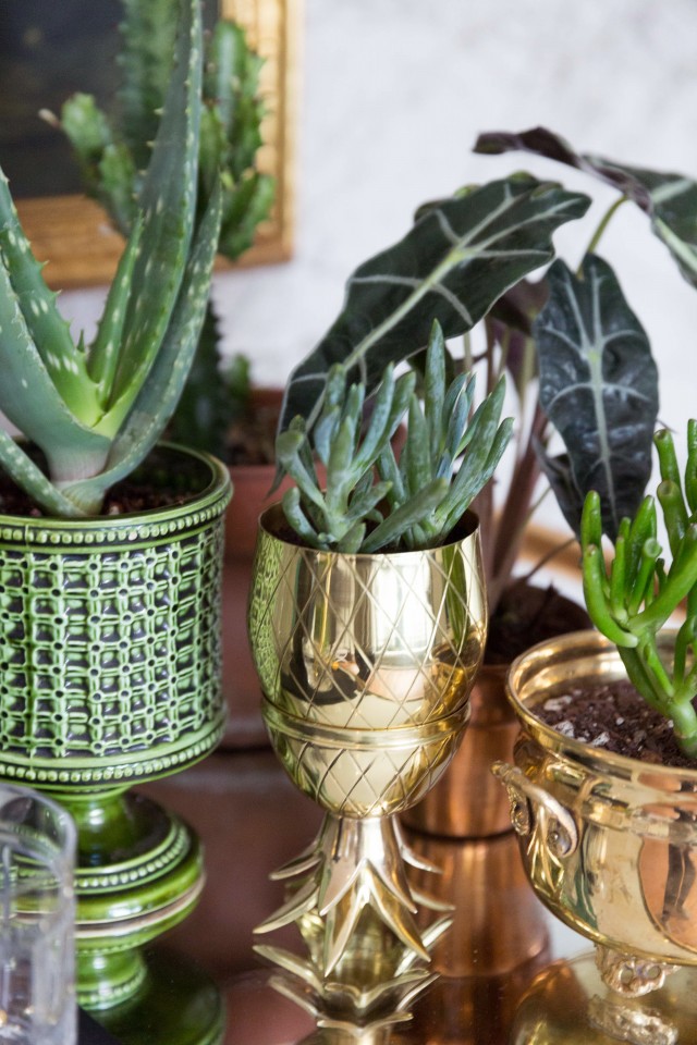 How To Create An Indoor Garden – Honestly WTF