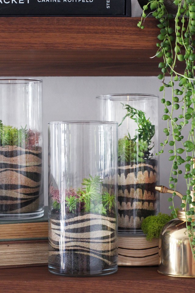 HWTF x Makers Kit DIY Sand Art Terrarium – Honestly WTF