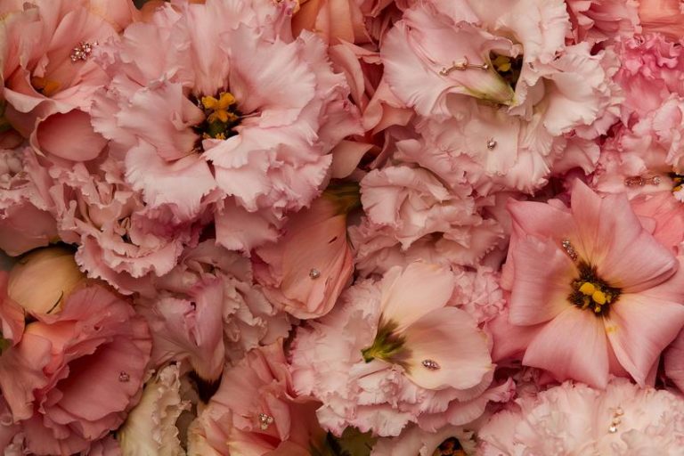 WWAKE Blush – Honestly WTF